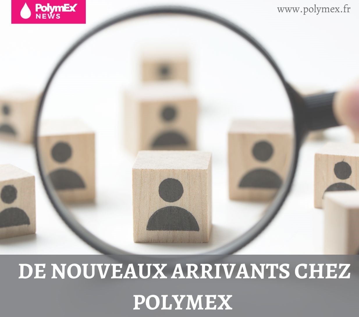 Un vent de fraicheur chez Polymex ! - Laboratoire d’analyse, d’étude et ...