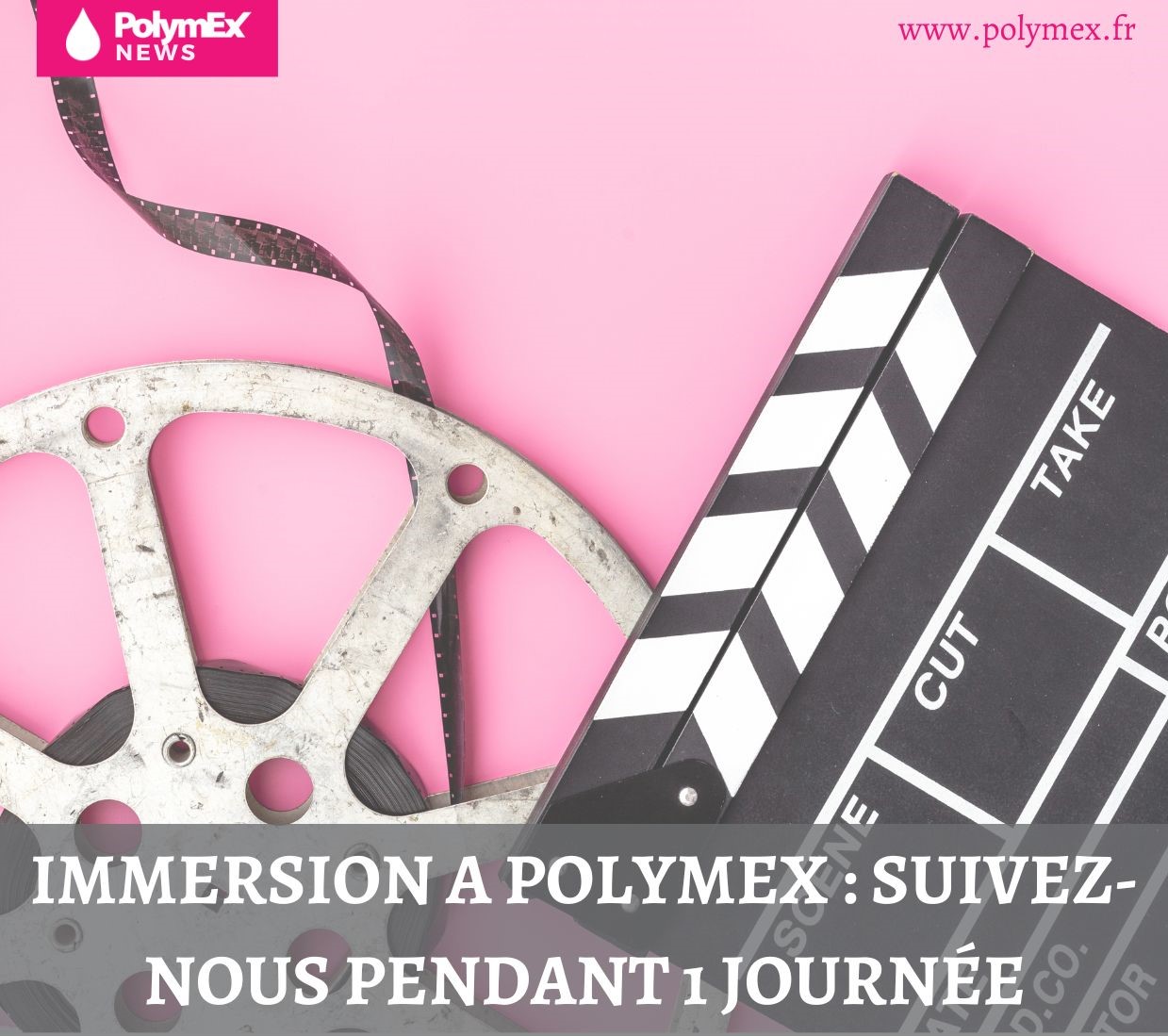 Immersion à Polymex ! - Laboratoire d’analyse, d’étude et expertise ...