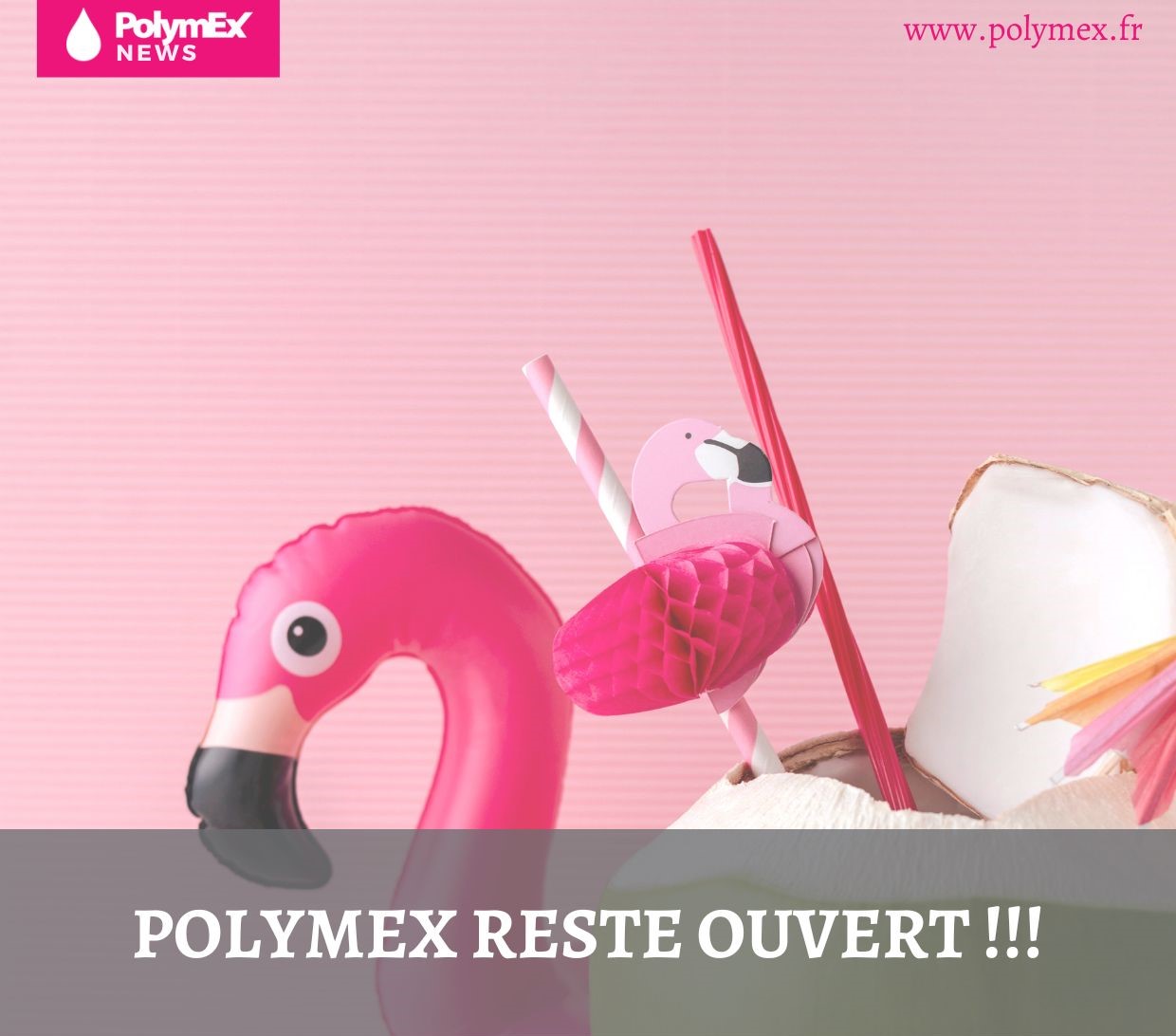 POLYMEX RESTE OUVERT en été 2024 ! - Laboratoire d’analyse, d’étude et ...