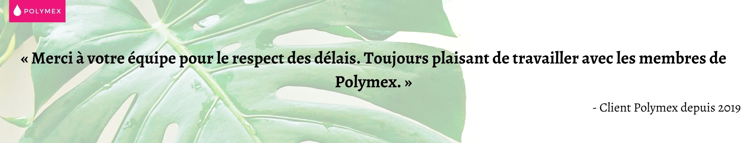Polymex : Laboratoire indépendant spécialisé dans l'Etude et l ...