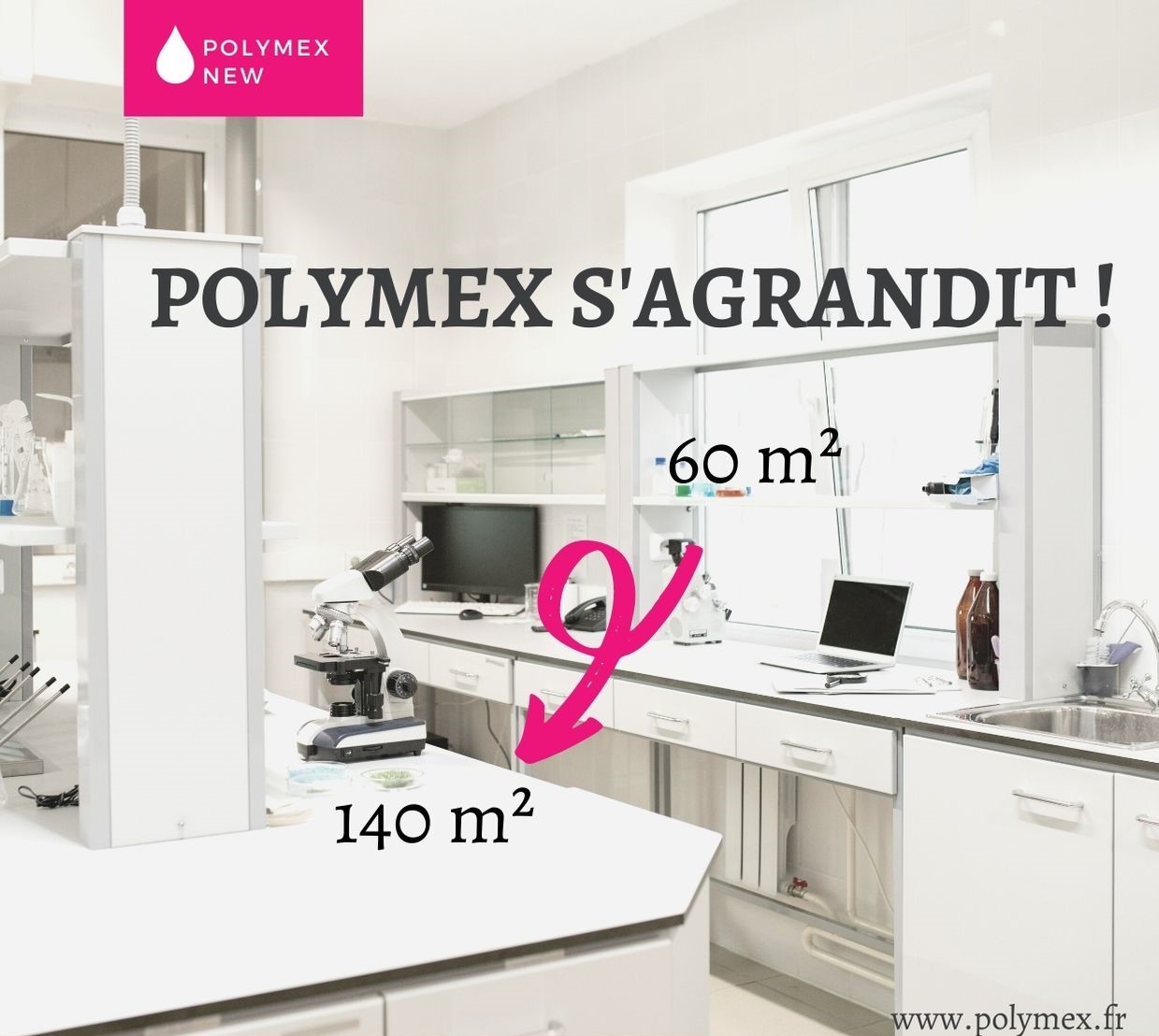 POLYMEX S’AGRANDIT ! - Laboratoire d’analyse, d’étude et expertise chimique