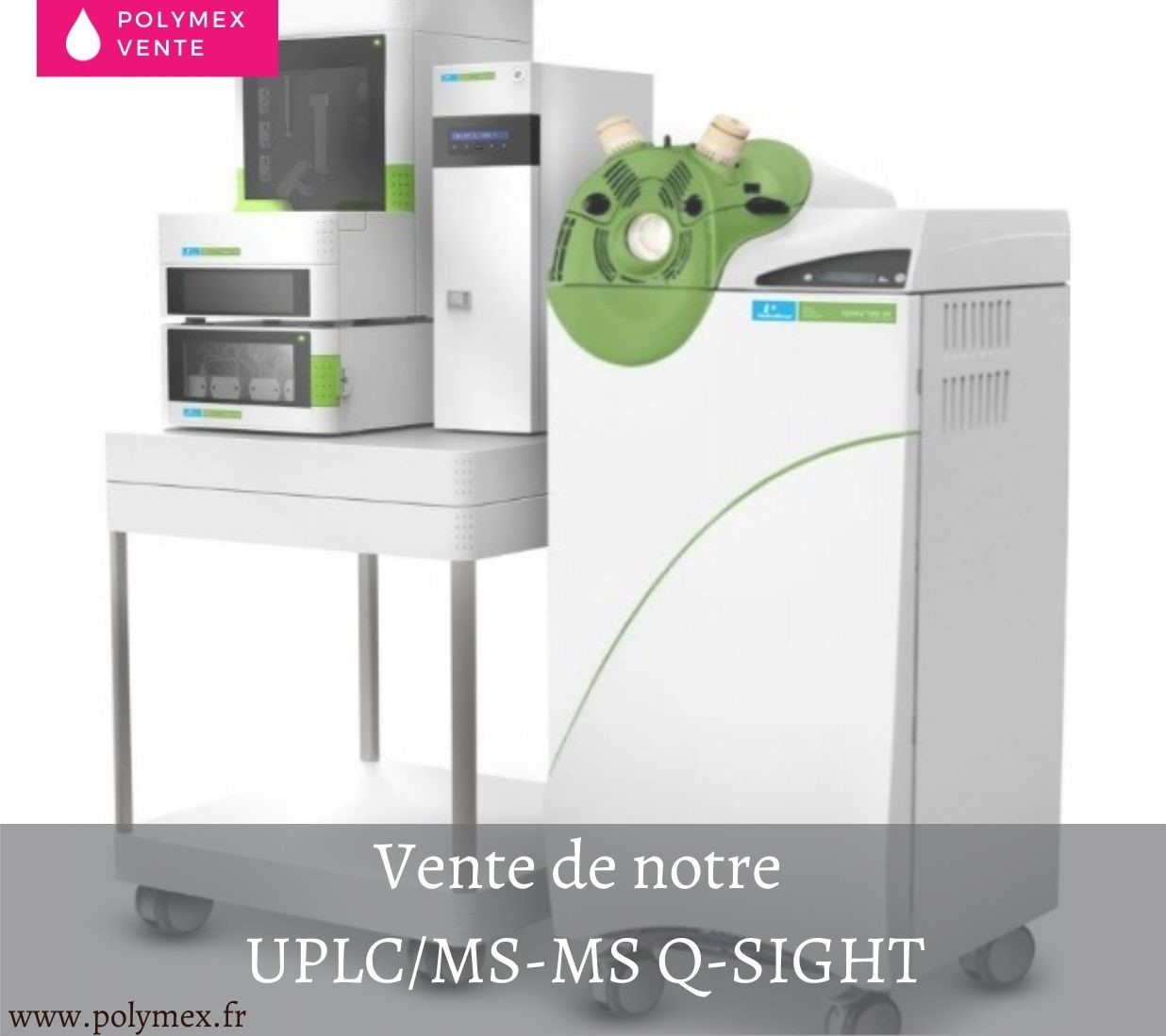 DU MOUVEMENT CHEZ POLYMEX ! - Laboratoire d’analyse, d’étude et ...