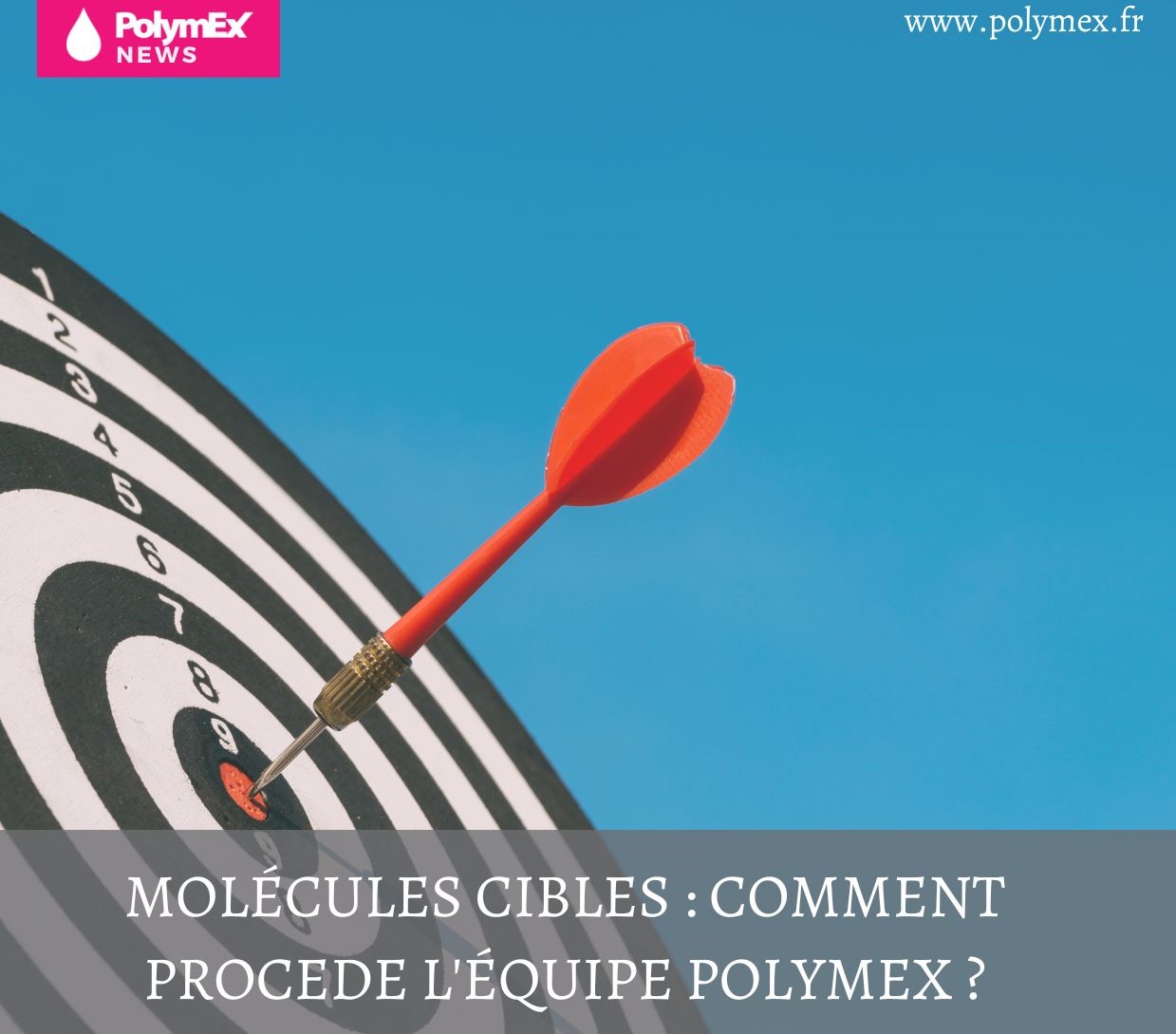 Molécules cibles : comment procède l’équipe Polymex ? - Laboratoire d ...