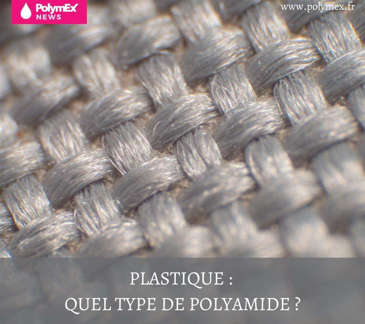 PLASTIQUE : QUEL TYPE DE POLYAMIDE ? - Laboratoire d’analyse, d’étude ...