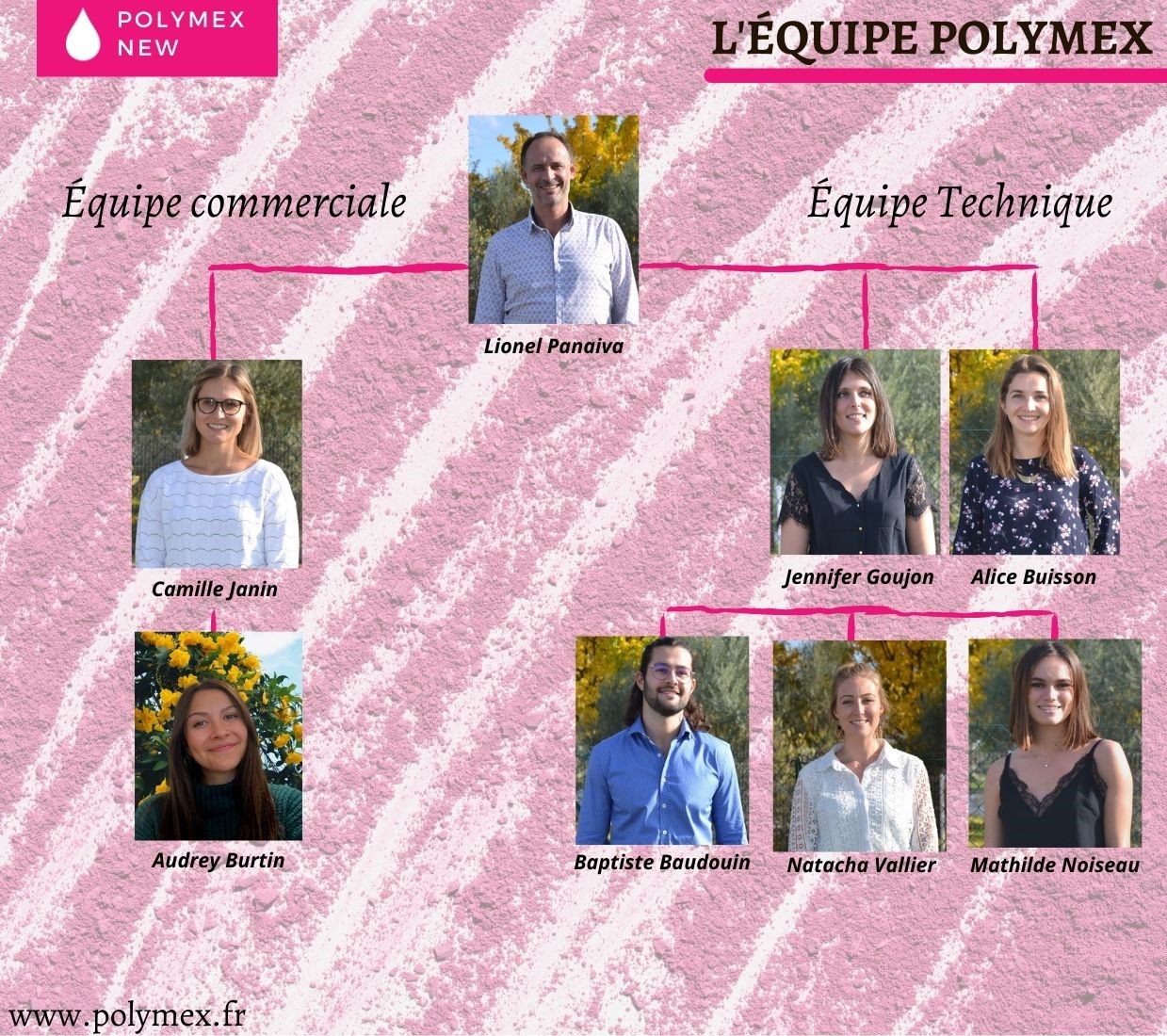 CONNAISSEZ-VOUS VRAIMENT POLYMEX ? - Laboratoire d’analyse, d’étude et ...
